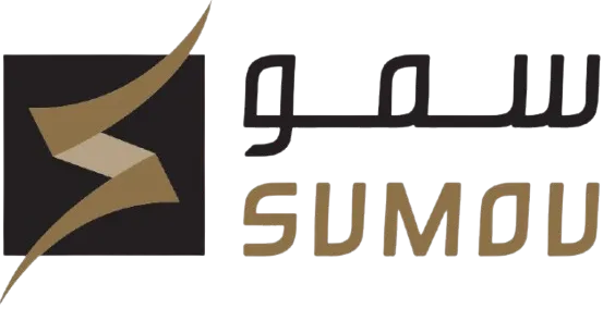 Company Formation & Business Consultations in Saudi Arabia & UAE | Ray ...